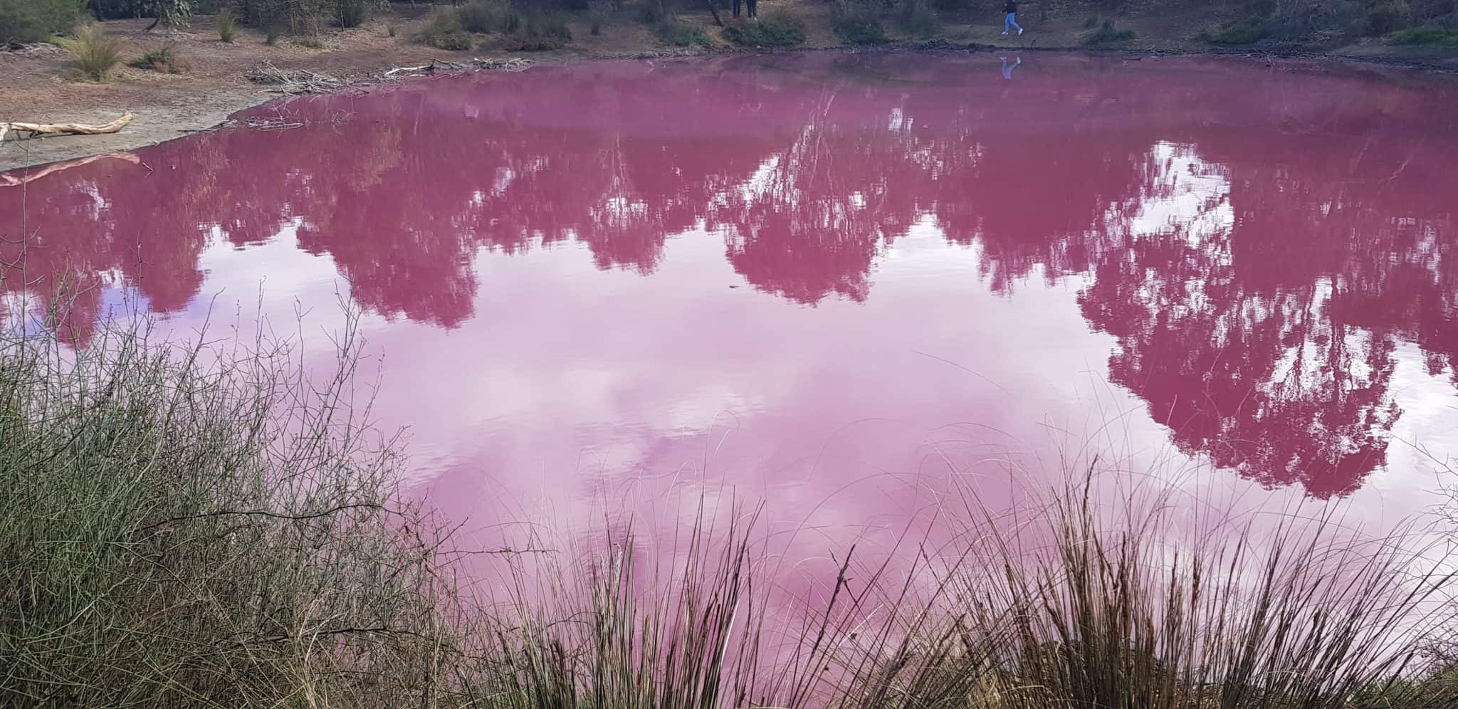 (Updated) Top 17 Pink Lakes In Australia You Won't Believe Exist ...