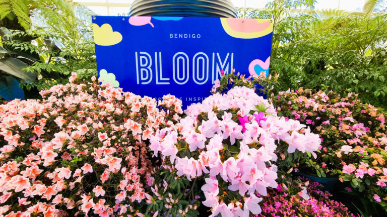 Best Places to See Spring Flowers in Australia | Study in Australia ...