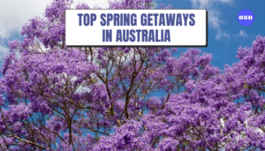Top 10 Spring Getaways in Australia | Study in Australia - Information ...